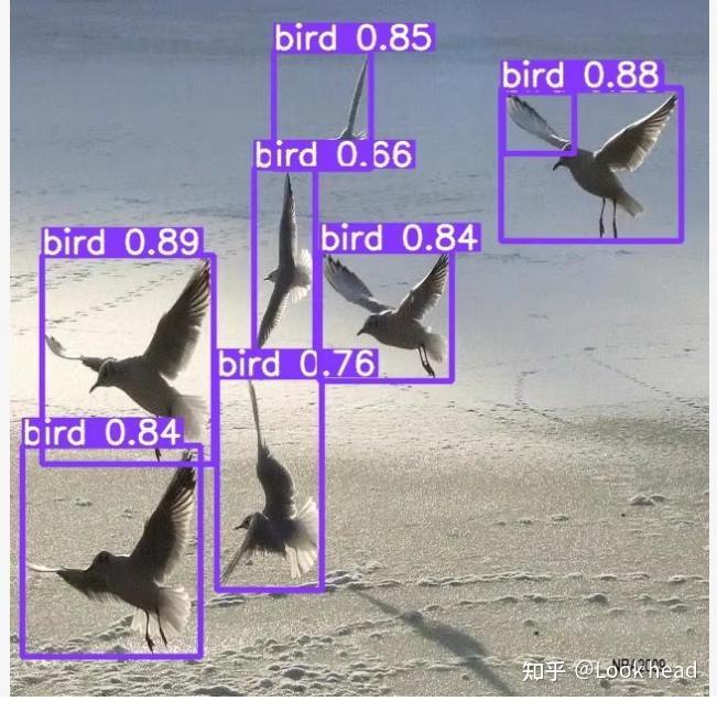 鸟类数据集，鸟数据集，目标检测 class:bird，共一类 13000+张图片 yolo格式（txt） - 知乎