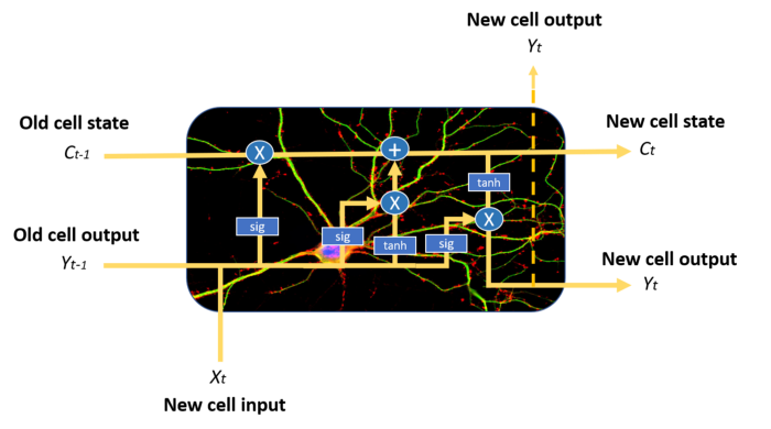 NLP的深度学习：ANN，RNN和LSTM详解！ - 知乎