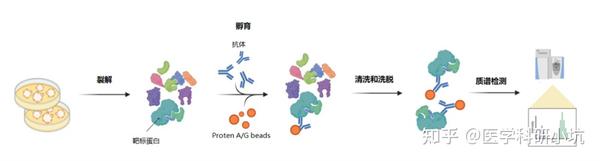 干货！研究「蛋白质相互作用」的方法，都整理好了！ - 知乎