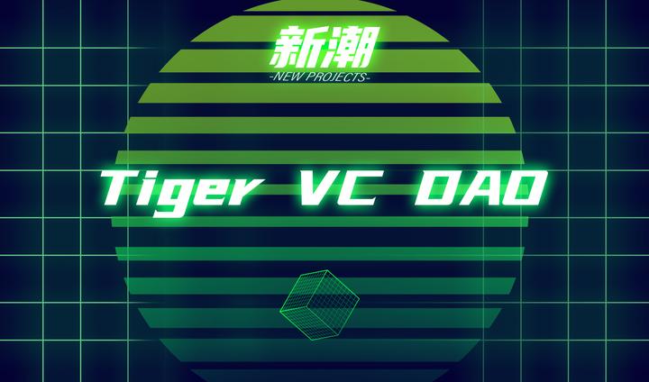 Tiger VC DAO：构建每个人的去中心化VC - 知乎