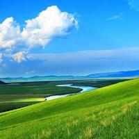 固相合成（SPPS）和液相合成（LPPS）制备多肽的优缺点 - 知乎