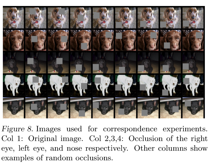 Deep Visualization:可视化并理解CNN - 知乎