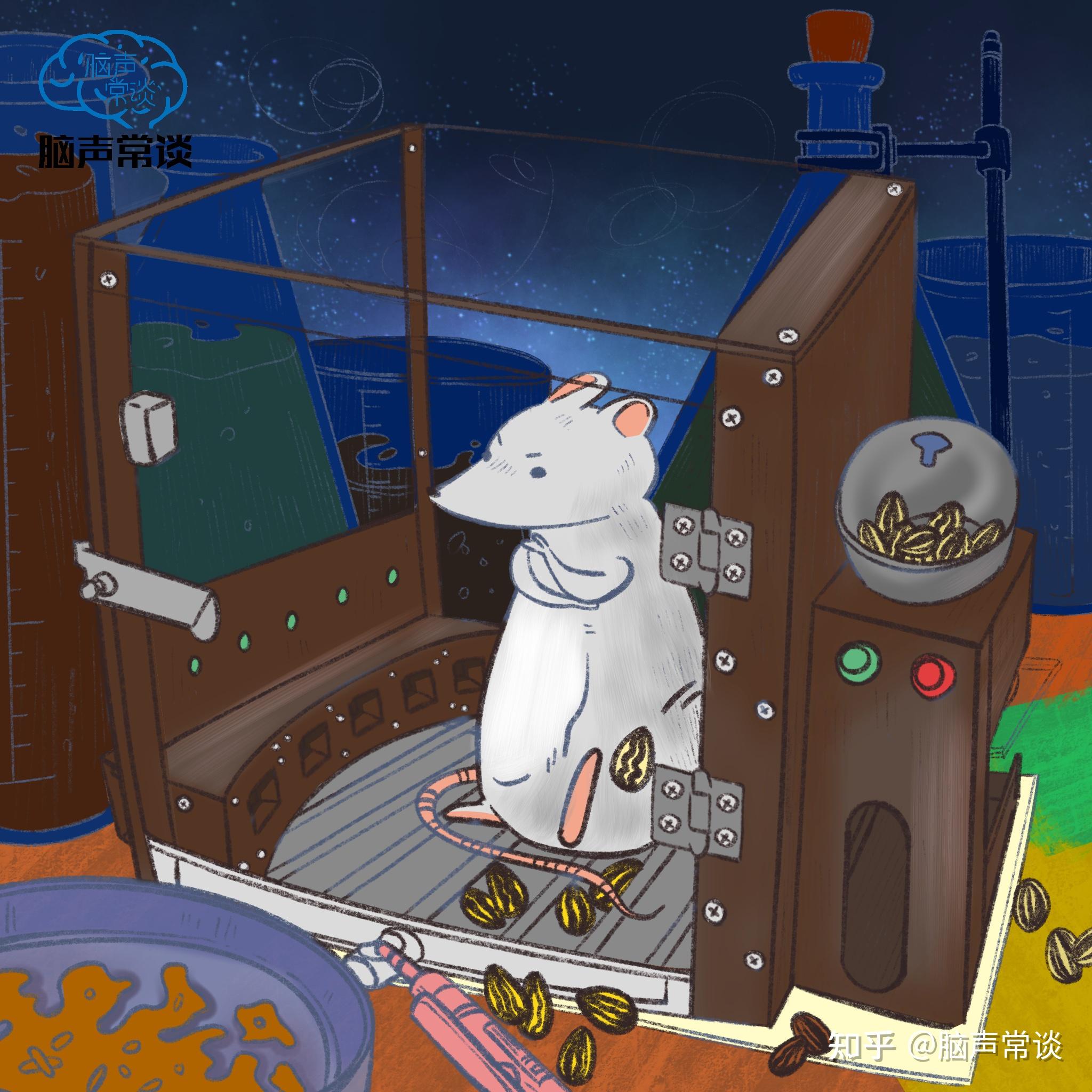 脑声常谈：浅析五项选择连续反应时间任务实验常用测试方案 - 知乎