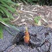 MMT论文 | 新型3-PRPS可重构并联机构的设计和构态切换分析 - 知乎