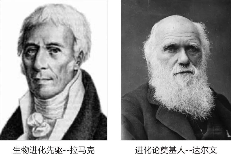 表观遗传大发现：RNA修饰酶在精子介导的获得性遗传中起关键作用 - 知乎