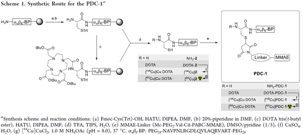 一种靶向整合素αvβ6兼具成像诊断与治疗作用的多肽偶联药物研究 - 知乎