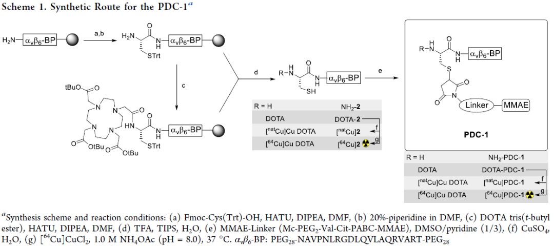 一种靶向整合素αvβ6兼具成像诊断与治疗作用的多肽偶联药物研究 - 知乎