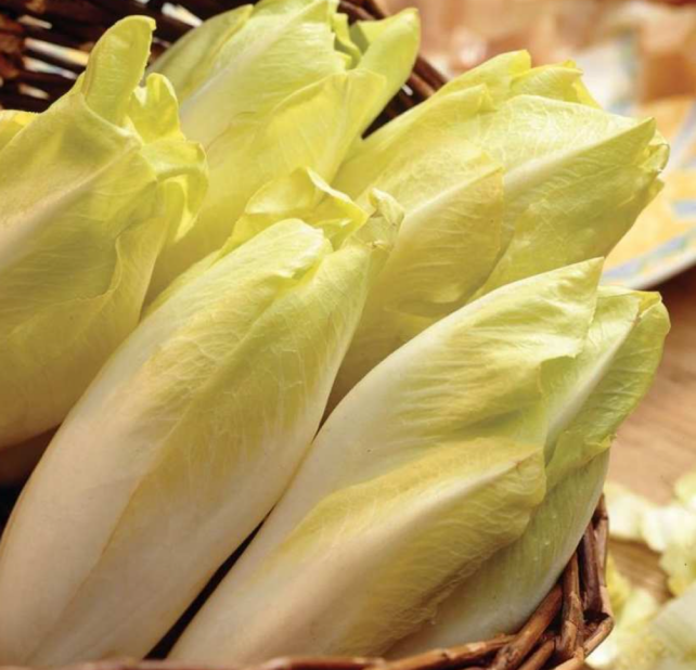 法国这些奇葩的蔬菜到底叫什么？ - 知乎