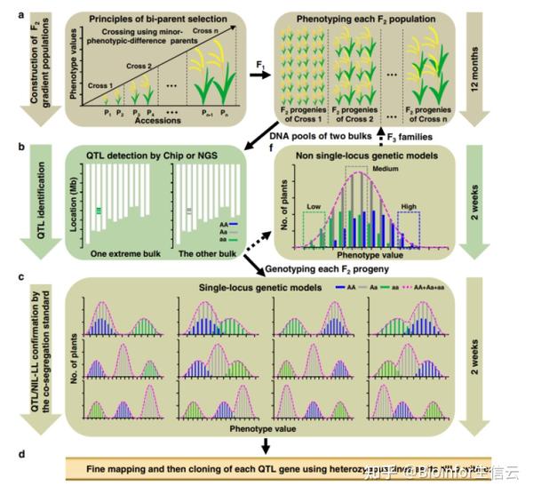 BSA分析（一）背景介绍 - 知乎