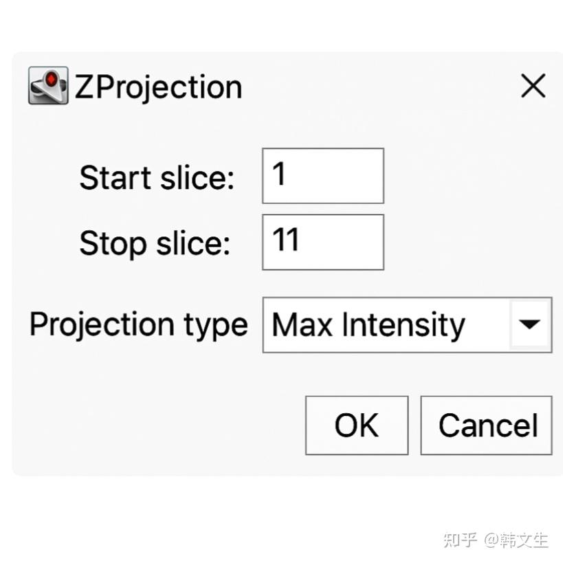 利用Image J分析confocal拍摄的Z-Stack荧光图片 - 知乎