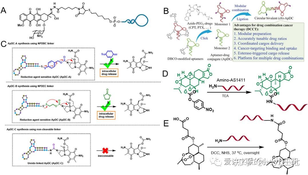 核酸适体偶联药物（ApDC）在肿瘤治疗中的最新进展 - 知乎