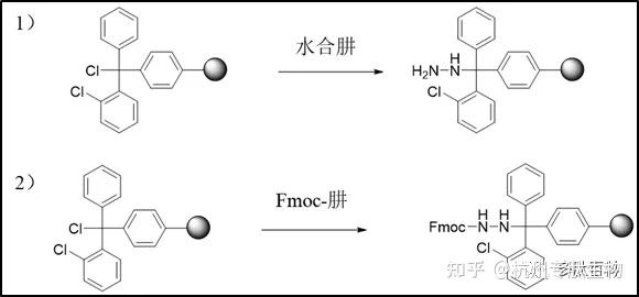 多肽酰肼的制备 - 知乎