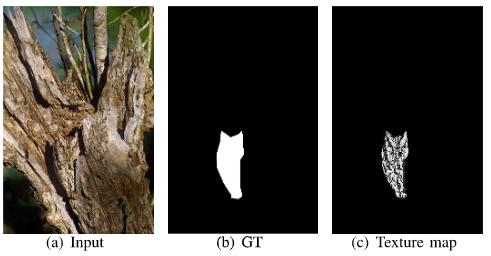 FindNet: Can You Find Me? Boundary-and-Texture Enhancement Network for ...