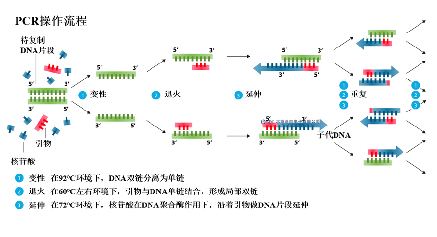 看完此文，别再说你不懂PCR技术了 - 知乎