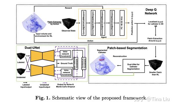 MICCAI 2020 汇总 (1) self-semi-unsupervised Learning - 知乎