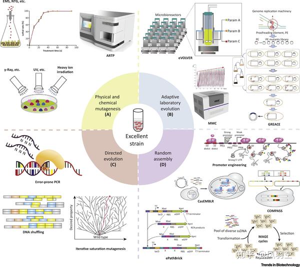 High-throughput screening(HTS) - 知乎