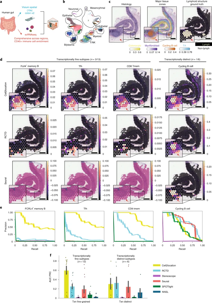 文献阅读：Cell2location 在空间转录组中绘制细粒度的细胞类型 - 知乎