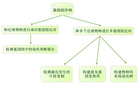 比较基因组学 - 知乎
