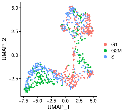 单细胞分析实录(10): 消除细胞周期的影响 - 知乎