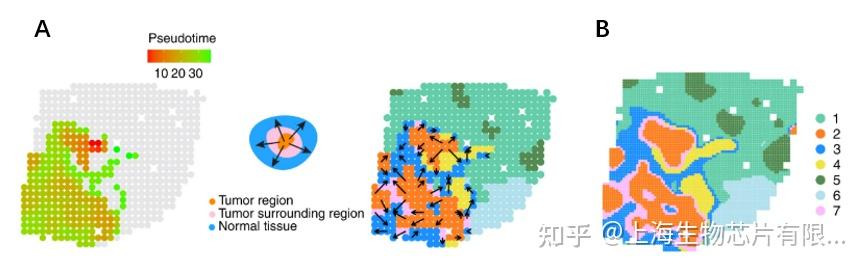 让空间数据分析更简单：数据降维聚类工具——SpatialPCA - 知乎