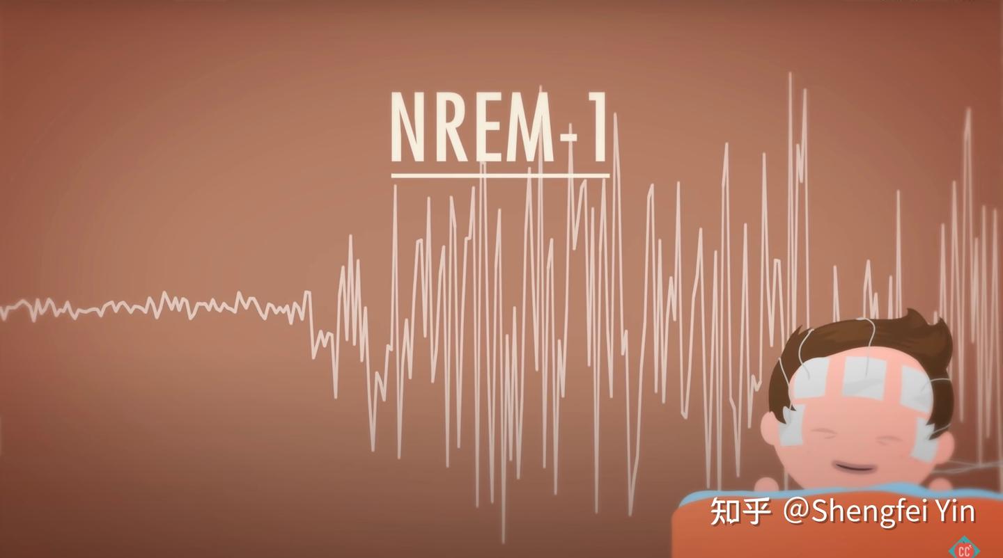 Sleep & Dreams - Crash Course Psychology #9 - 知乎