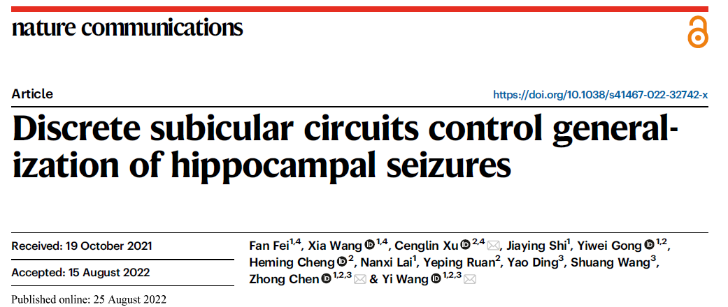 Nat Commun. | 浙江中医药大学陈忠团队揭示海马下托谷氨酸能神经元在颞叶癫痫中的异质性作用 - 知乎