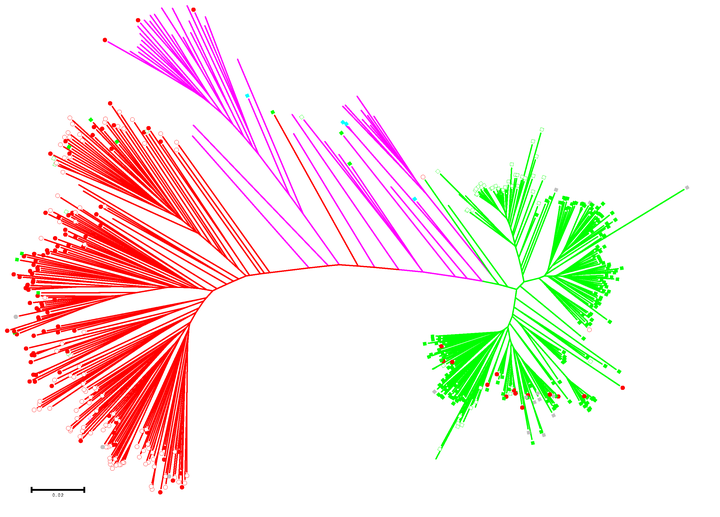 VCF2Dis 高效快速 群体nj-tree - 知乎
