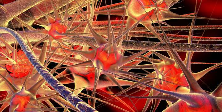 Nat Rev |从基因表达解码细胞间通讯机制 - 知乎