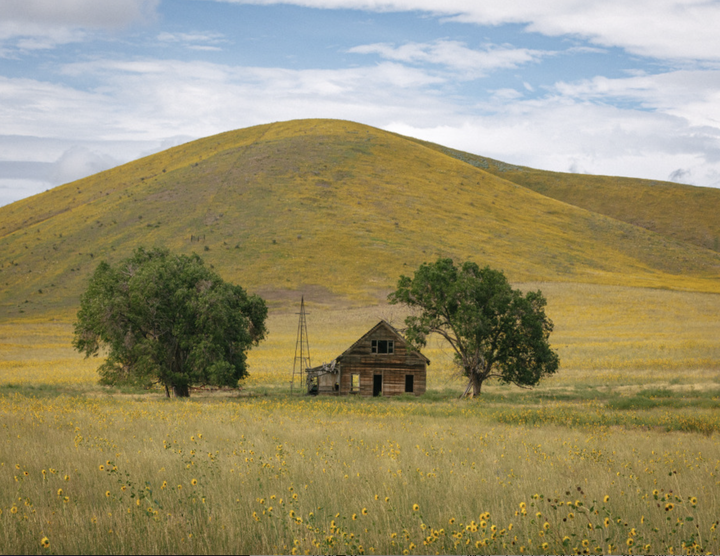 一文读懂ESG，CSR，SDGs - 知乎