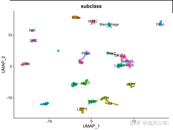 10X单细胞空间分析回顾之SPOTlight - 知乎