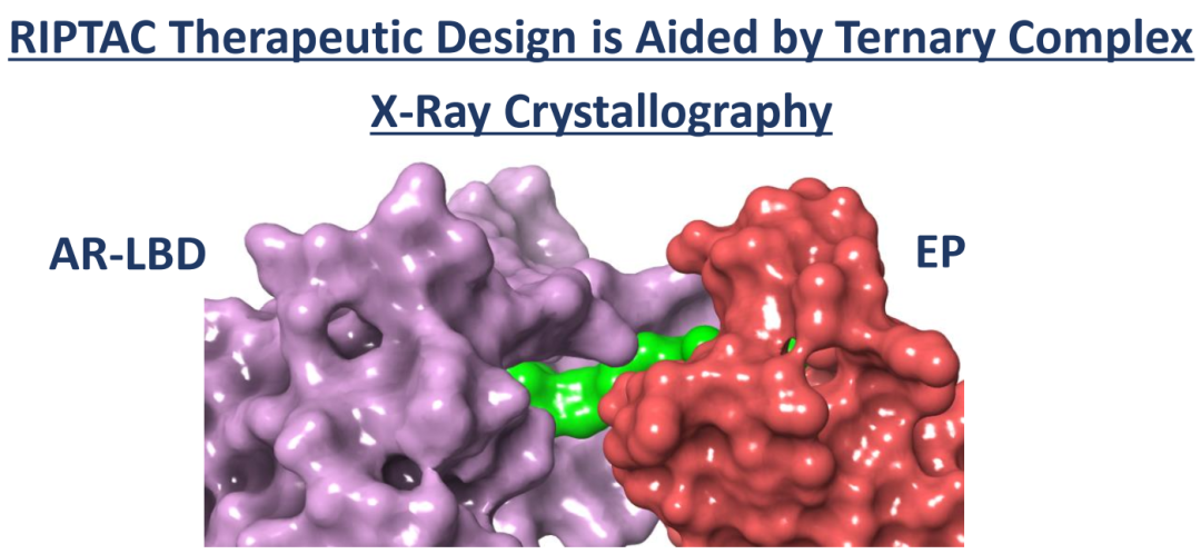 打破肿瘤耐药性僵局，PROTAC先驱发布首个RIPTAC药物临床前数据，将于今年内开展IND准备工作 - 知乎