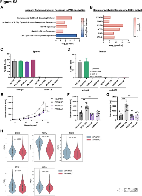 Can Dis | 发现p53触发免疫功能杀死肿瘤新机制 - 知乎