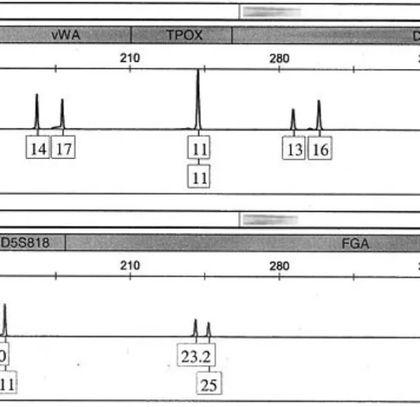 SSR 和 ISSR 标记有什么区别 - 知乎