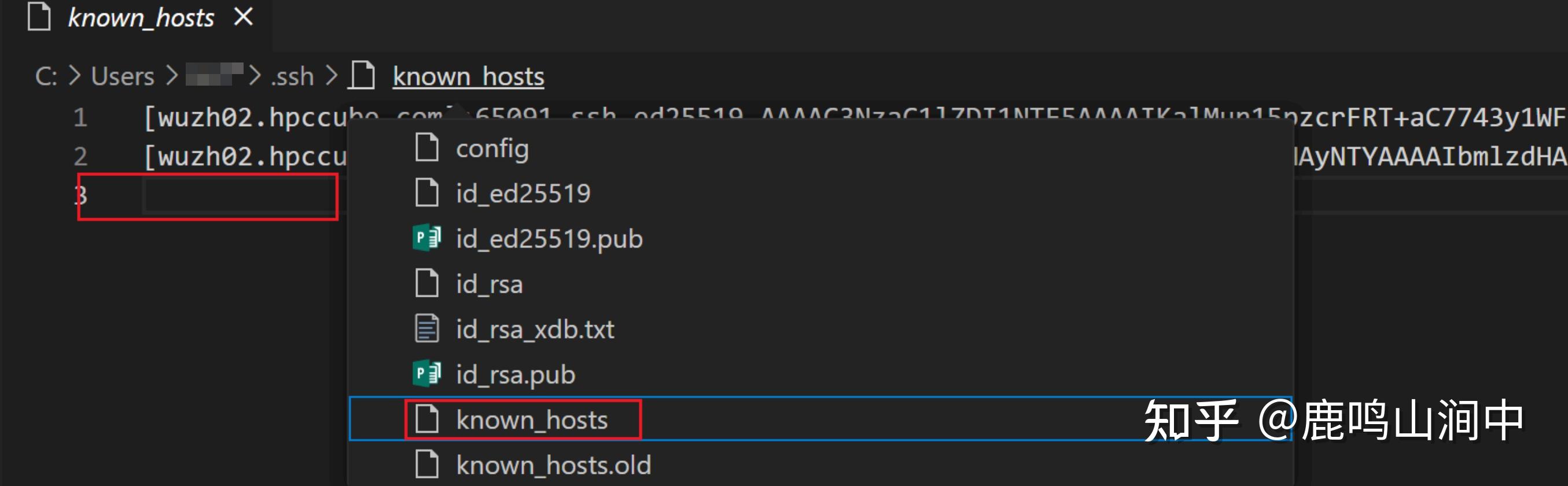 vscode连接autodl方法(autodl yyds) - 知乎