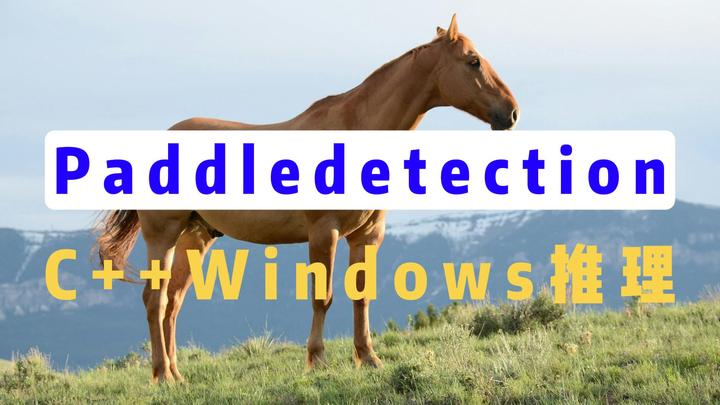 使用Paddledetection进行模型训练【Part4：C++Windows推理】 - 知乎