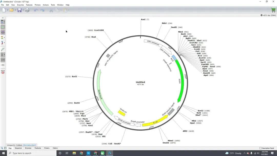 SnapGene 初学者指南 | 如何创建、打开、导入文件 - 知乎