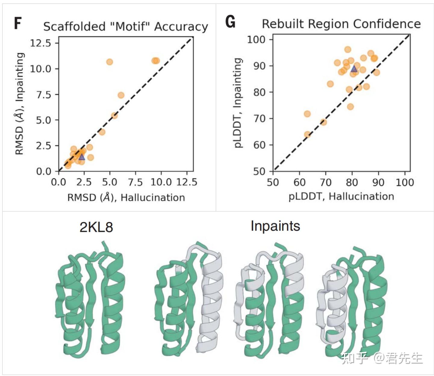 蛋白质设计:proteinMPNN,Hallucinating protein assemblies,Scaffolding protein ...
