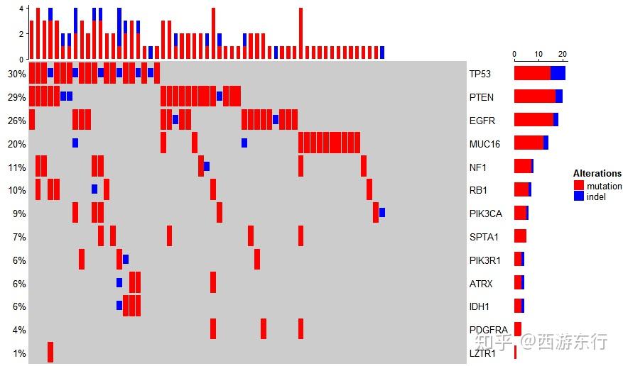 ComplexHeatmap|根据excel表绘制突变景观图（oncoplot） - 知乎