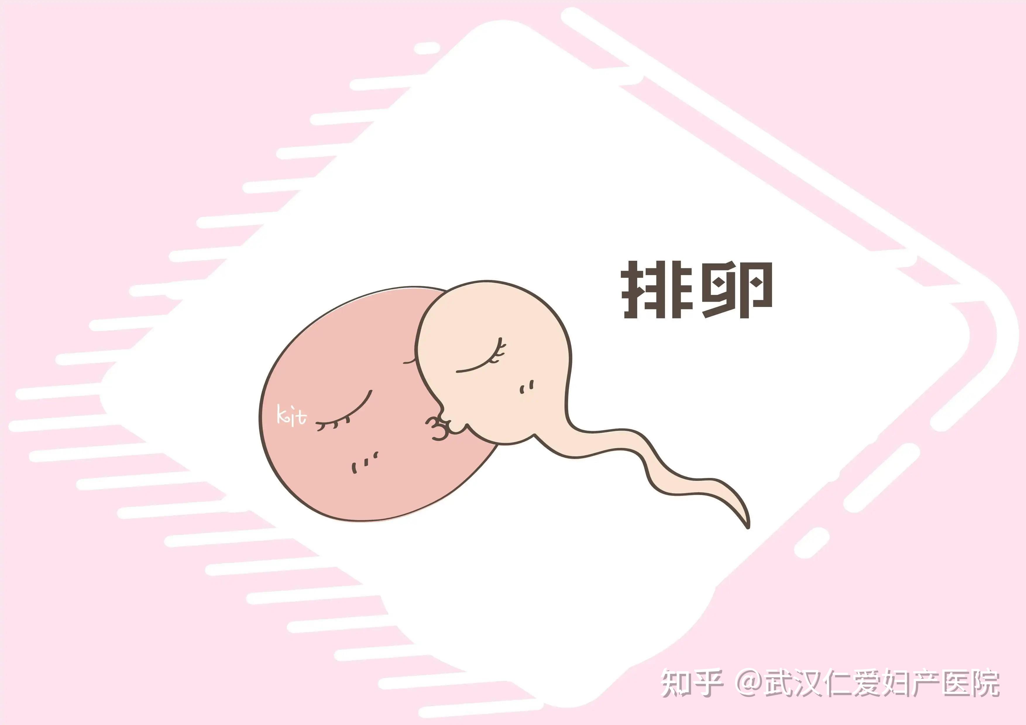 武汉仁爱妇产医院：排卵后几天能知道怀孕？当你有这种感觉时，多半是有喜了 知乎