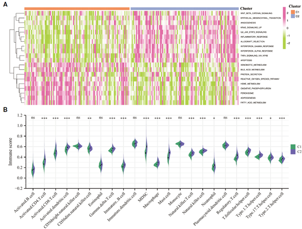 两月接收！8分+非肿瘤中性粒细胞胞外诱捕网(NETs)生信思路重磅来袭！疾病分型+机器学习算法+风险评分！ - 知乎