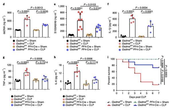 Nature最新大子刊丨脓毒症-血小板-GSDMD-NETs - 知乎