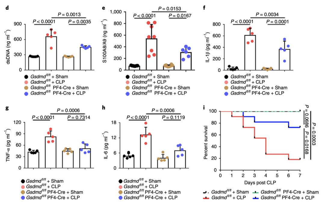 Nature最新大子刊丨脓毒症-血小板-GSDMD-NETs - 知乎