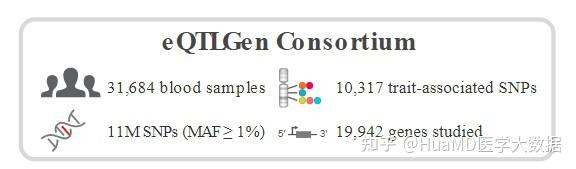 eQTL, cis-eQTL, trans-eQTL介绍和获取 - 知乎