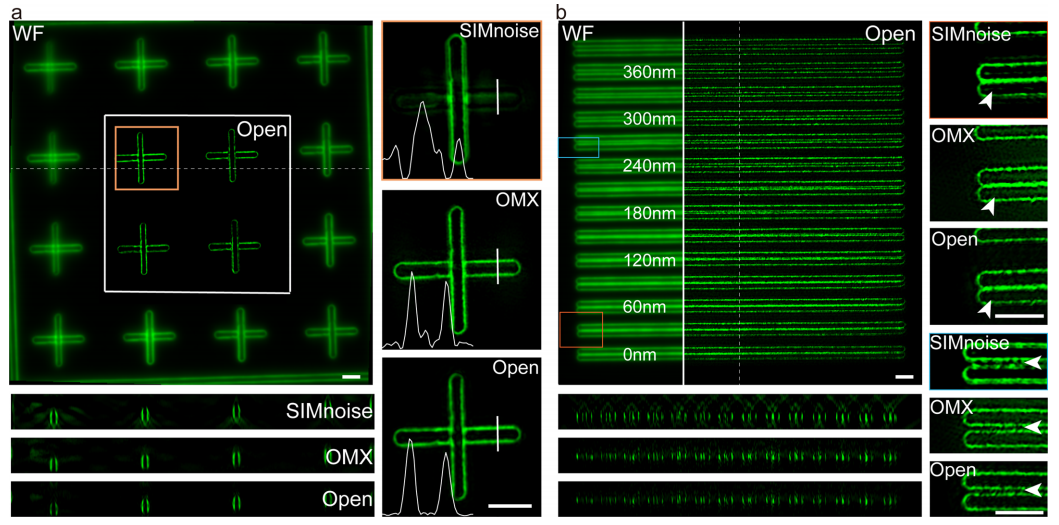 生物学成像再迎新利器：北大团队提出显微成像重建算法，成功解决离焦背景与伪影难题 - 知乎