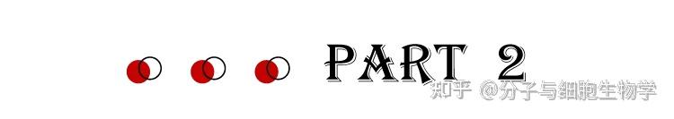 IRES与2A肽(P2A/T2A/E2A/F2A) - 知乎