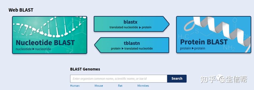 一步一步教你使用NCBI BLAST - 知乎