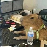 解决prophet运行过程中遇到的'Prophet' object has no attribute 'stan_backend'问题 - 知乎