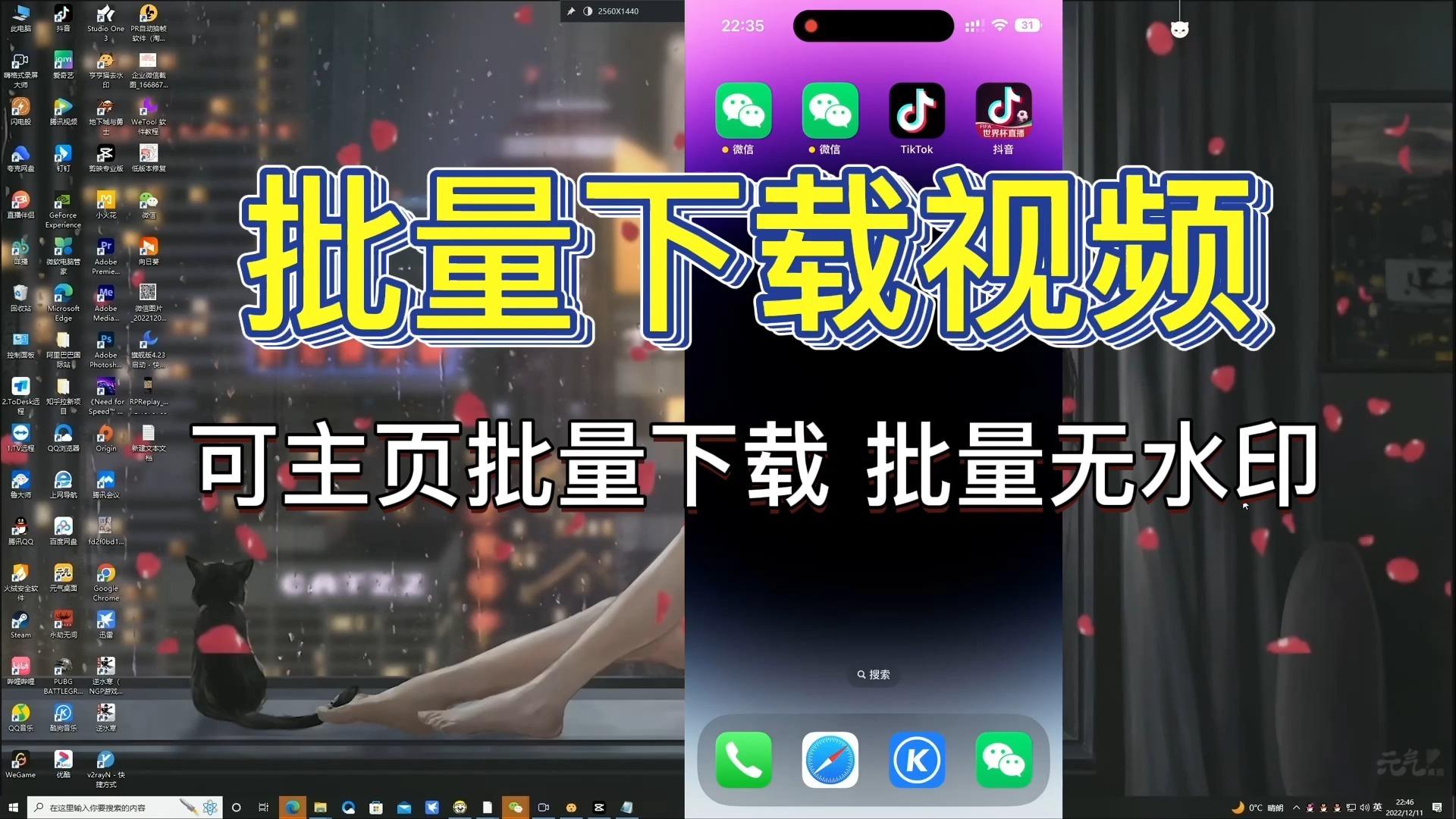 一键批量下载抖音、tiktok等视频,操作简单,小白友好的操作教程 批量采集 亨亨猫 知乎