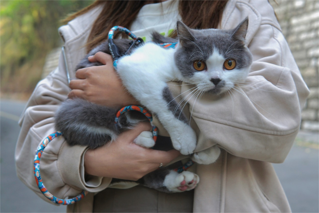 指南者留学365の留学日记：横扫IC港大JHU带奖offer - 知乎