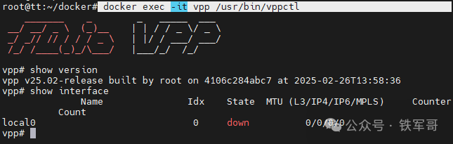 Docker + VPP强强联合：在Docker容器中玩转高性能VPP路由！ - 知乎